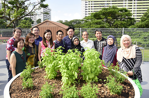 Be a Volunteer - IMH | Institute of Mental Health